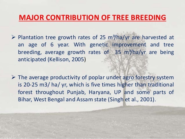 Tree breeding methods