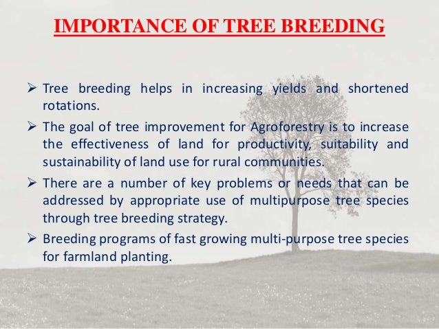 Tree breeding methods