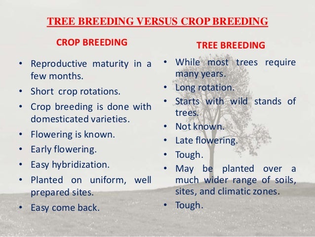 Tree breeding methods