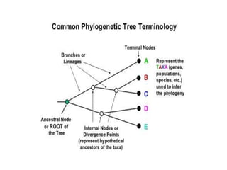 Tree building | PPTX