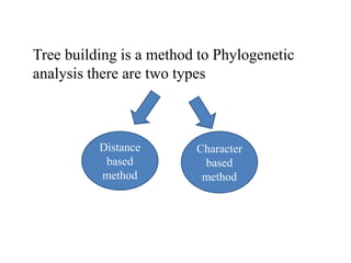 Tree building | PPTX