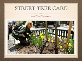 Street Tree Care for New Yorkers | PPT