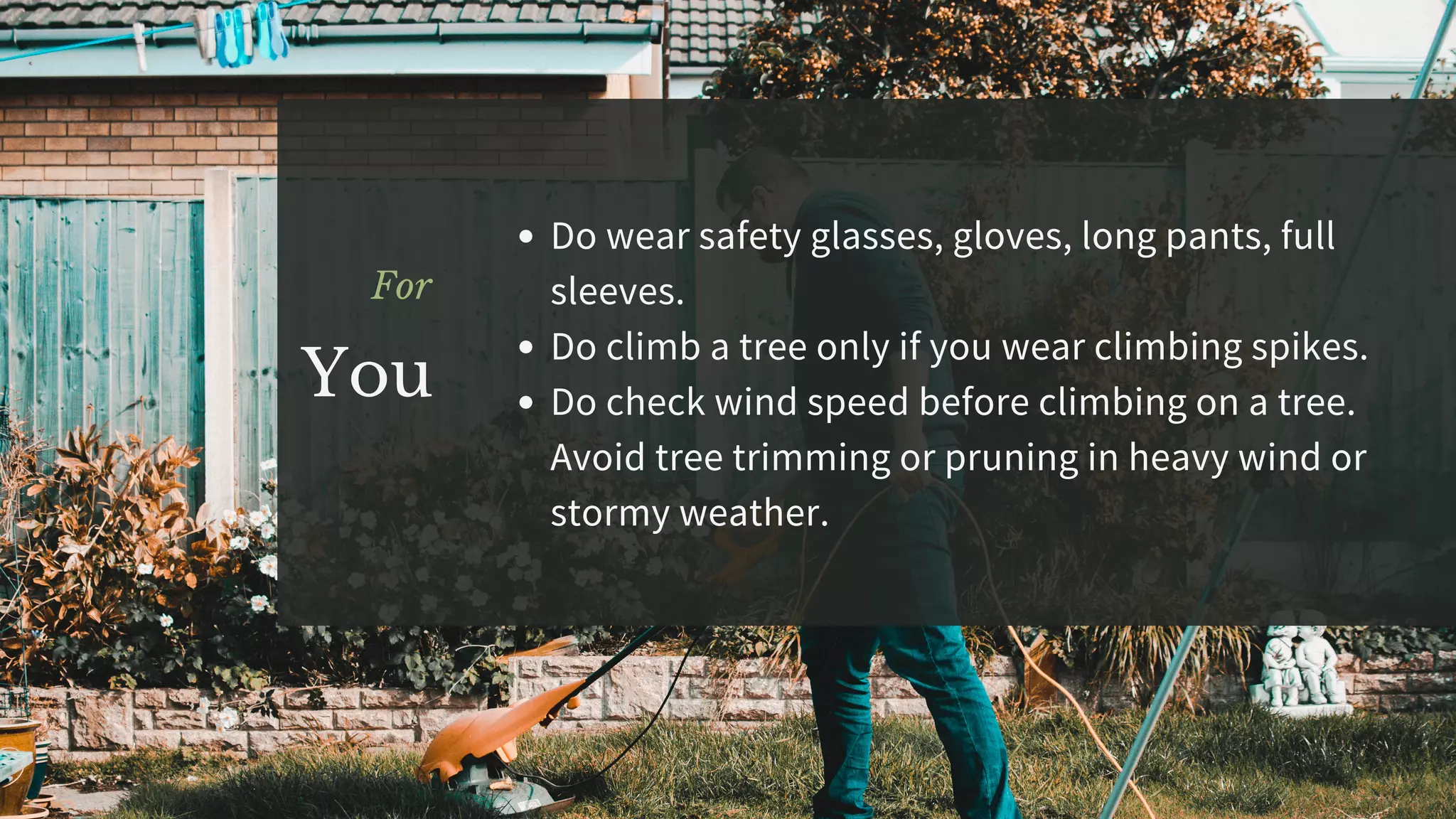 Tree Caring Dos and Don’ts | PDF