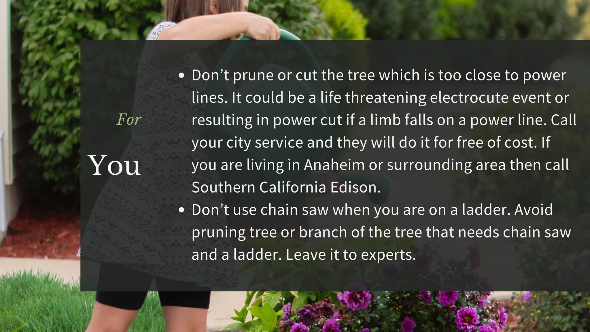 Tree Caring Dos and Don’ts | PDF