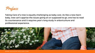 Tree Caring Dos and Don’ts | PDF