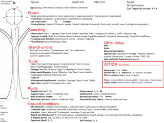 Tree checklist ami_for wts | PPT
