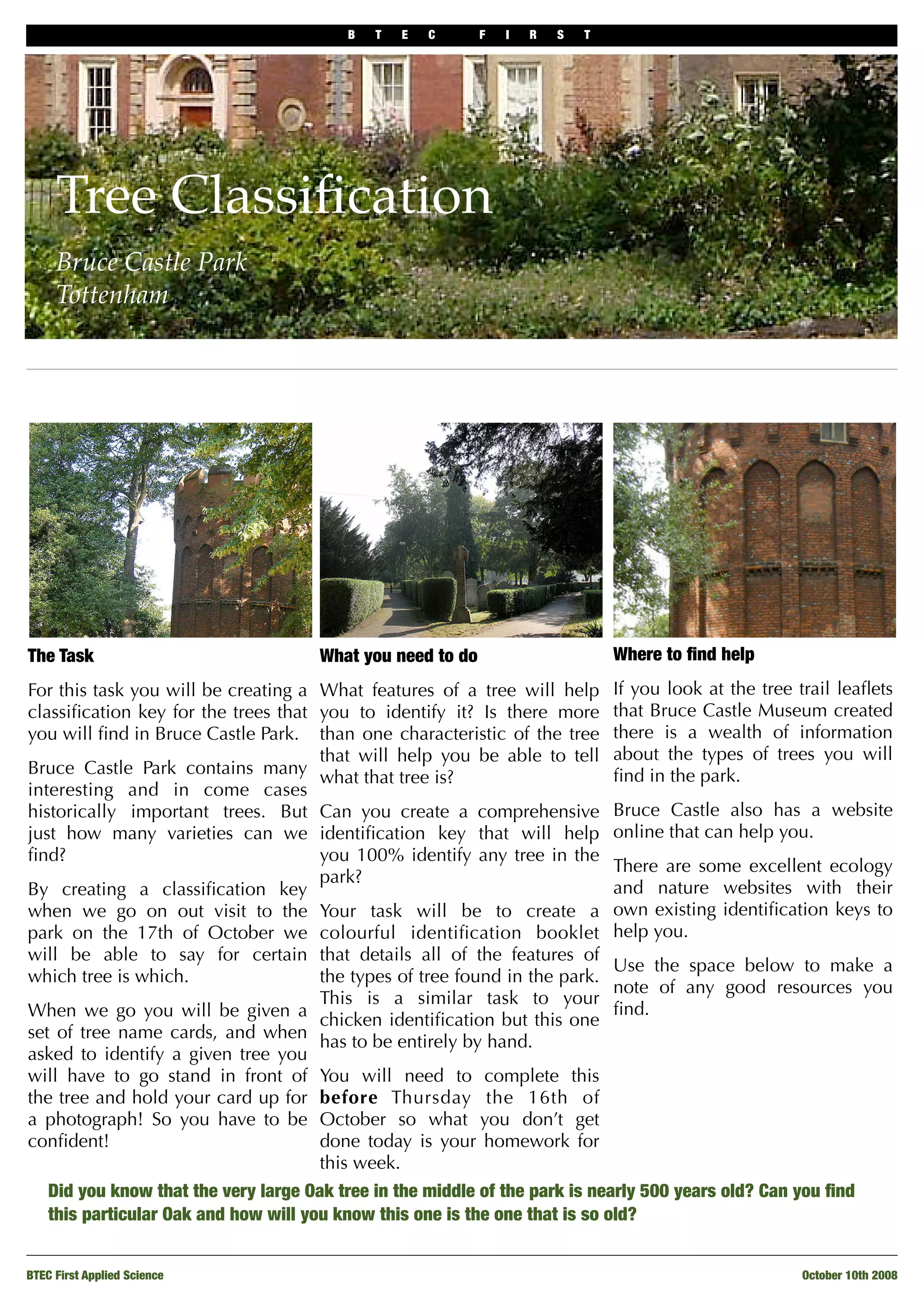Tree Classification | PDF