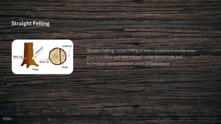 Treecology Felling Essex Envirmonental.pdf