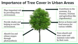 Tree Cover and Green Spaces Management in Islamabad.pptx