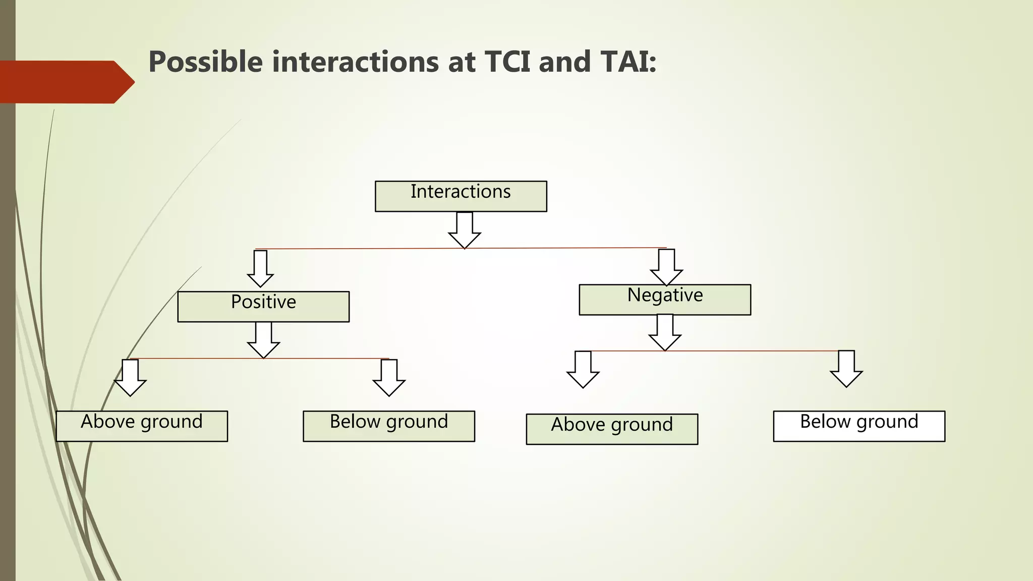 Tree Crop Interaction Under Agroforestry Pptx