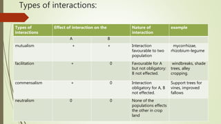 Tree crop interaction under agroforestry | PPTX