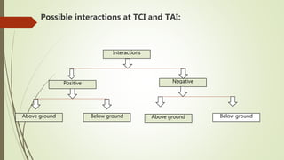 Tree crop interaction under agroforestry | PPTX