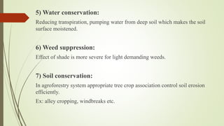 Tree crop interaction under agroforestry | PPTX