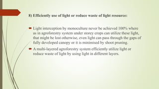 Tree crop interaction under agroforestry | PPTX