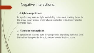 Tree crop interaction under agroforestry | PPTX
