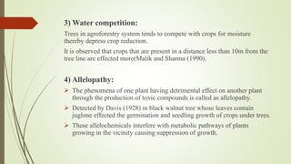 Tree crop interaction under agroforestry | PPTX