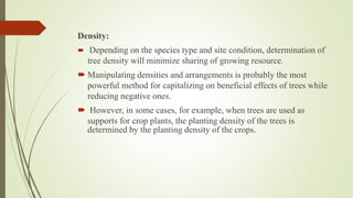 Tree crop interaction under agroforestry | PPTX
