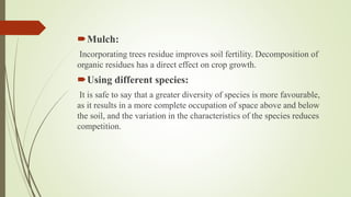 Tree crop interaction under agroforestry | PPTX