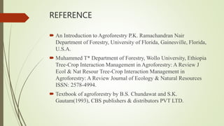 Tree crop interaction under agroforestry | PPTX