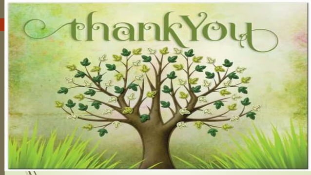 Tree crop interaction under agroforestry | PPTX