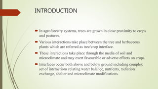 Tree crop interaction under agroforestry | PPTX
