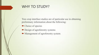 Tree crop interaction under agroforestry | PPTX