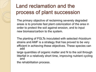 Tree cropping system for reclamation of problem soil | PPT