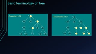 trees assignment by Syed Muhammad Huzaifa.pptx