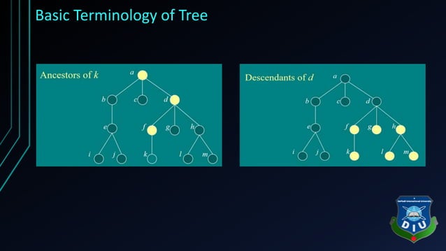 Tree Data Structure And Discrete Mathematics Pptx
