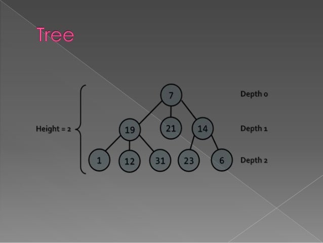 Tree Data Structure In Java