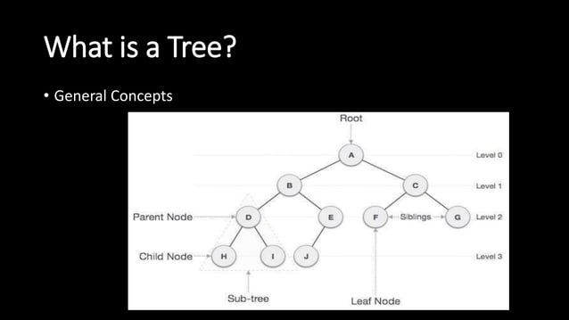 TREE DATA STRUCTURE SLIDES dsa dsa .pptx