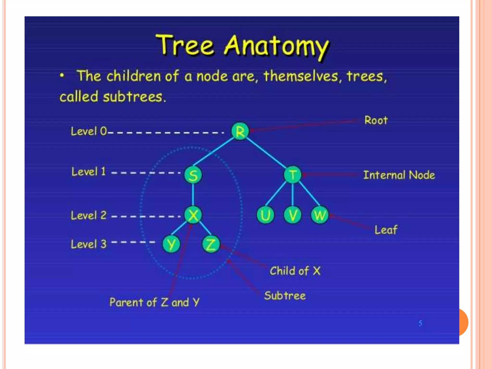 Tree_Definition.pptx
