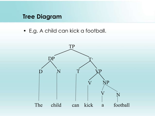 Tree diagram | PPTX | Programming Languages | Computing