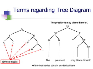 Tree diagram | PPTX