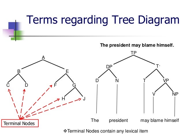 Tree diagram