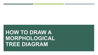 Tree diagrams.pptx.pdf1111111111111111111111111111 | PDF