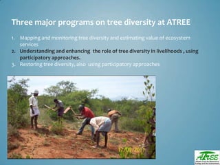 Tree diversityday2012 ganesan | PPTX