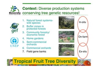 Tree diversityday2012 lamers.ppt