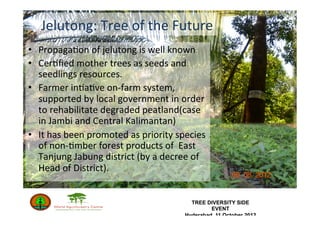 Tree diversityday2012-tata.pptx