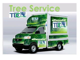 Tree doctor cnx | PDF