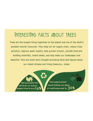 Interesting tree facts | PDF