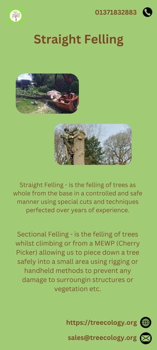 Tree Felling Envirmontal Arboriculture.pdf