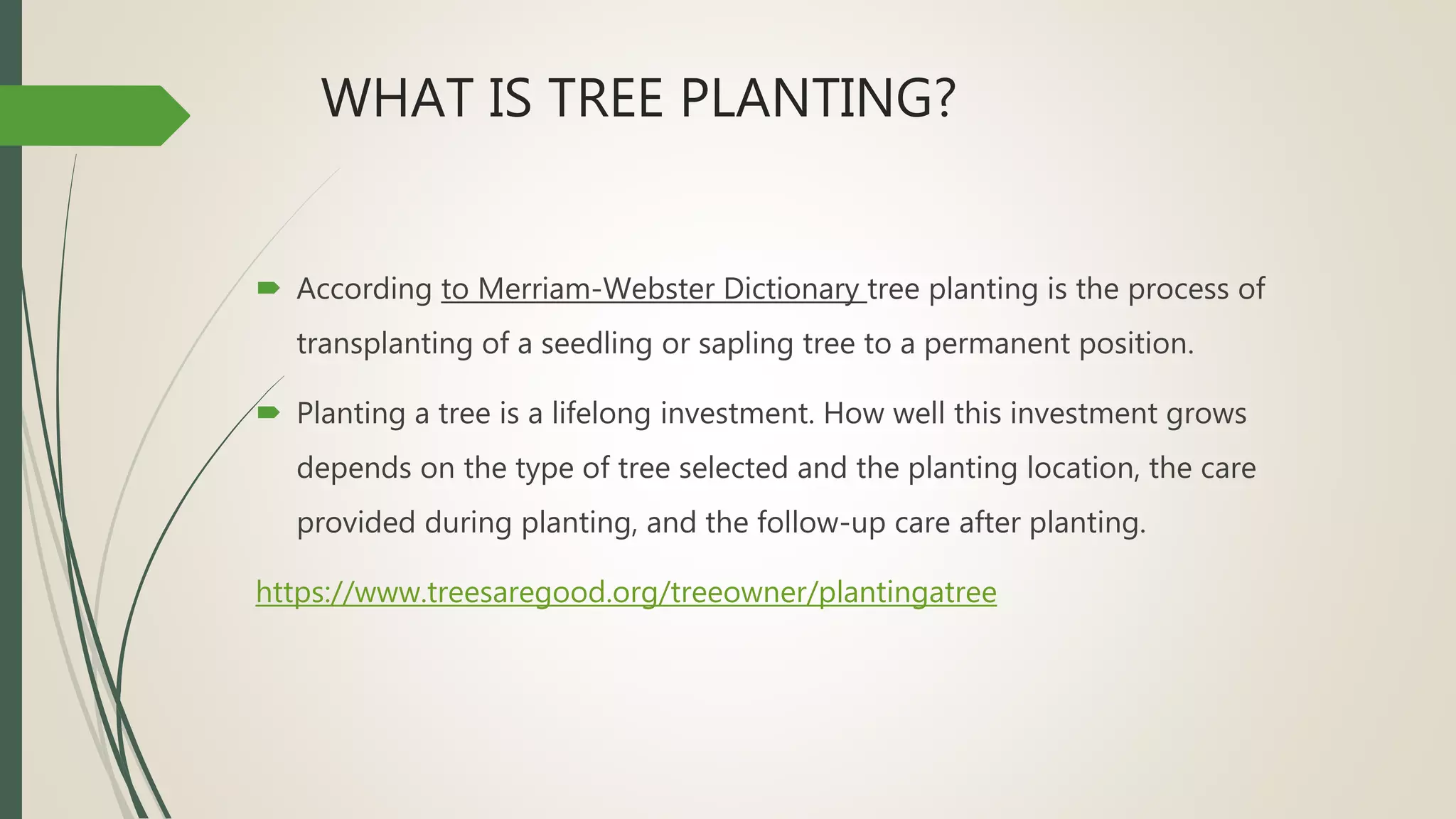 Tree for life | PPTX