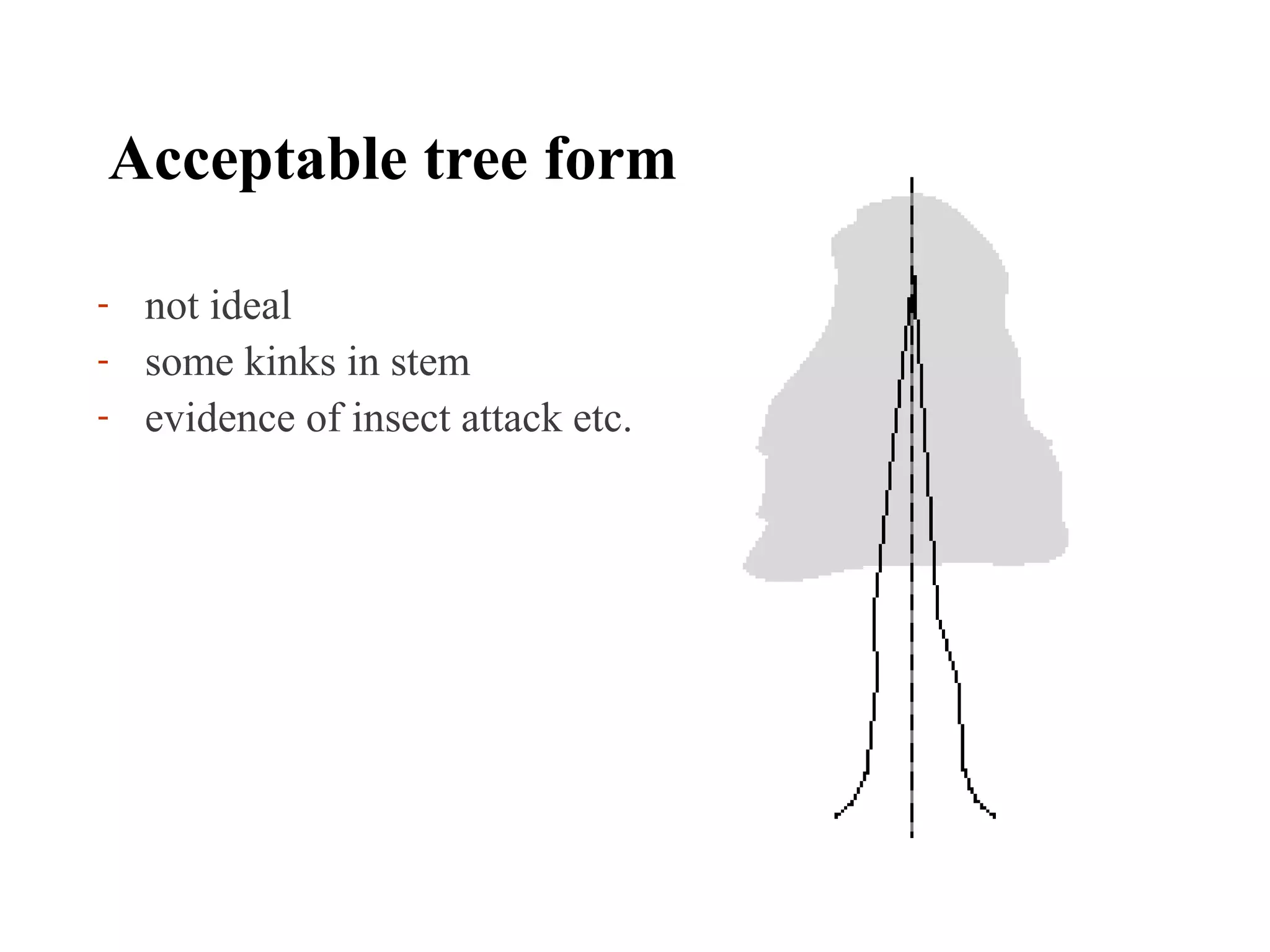 Tree forms | PPT