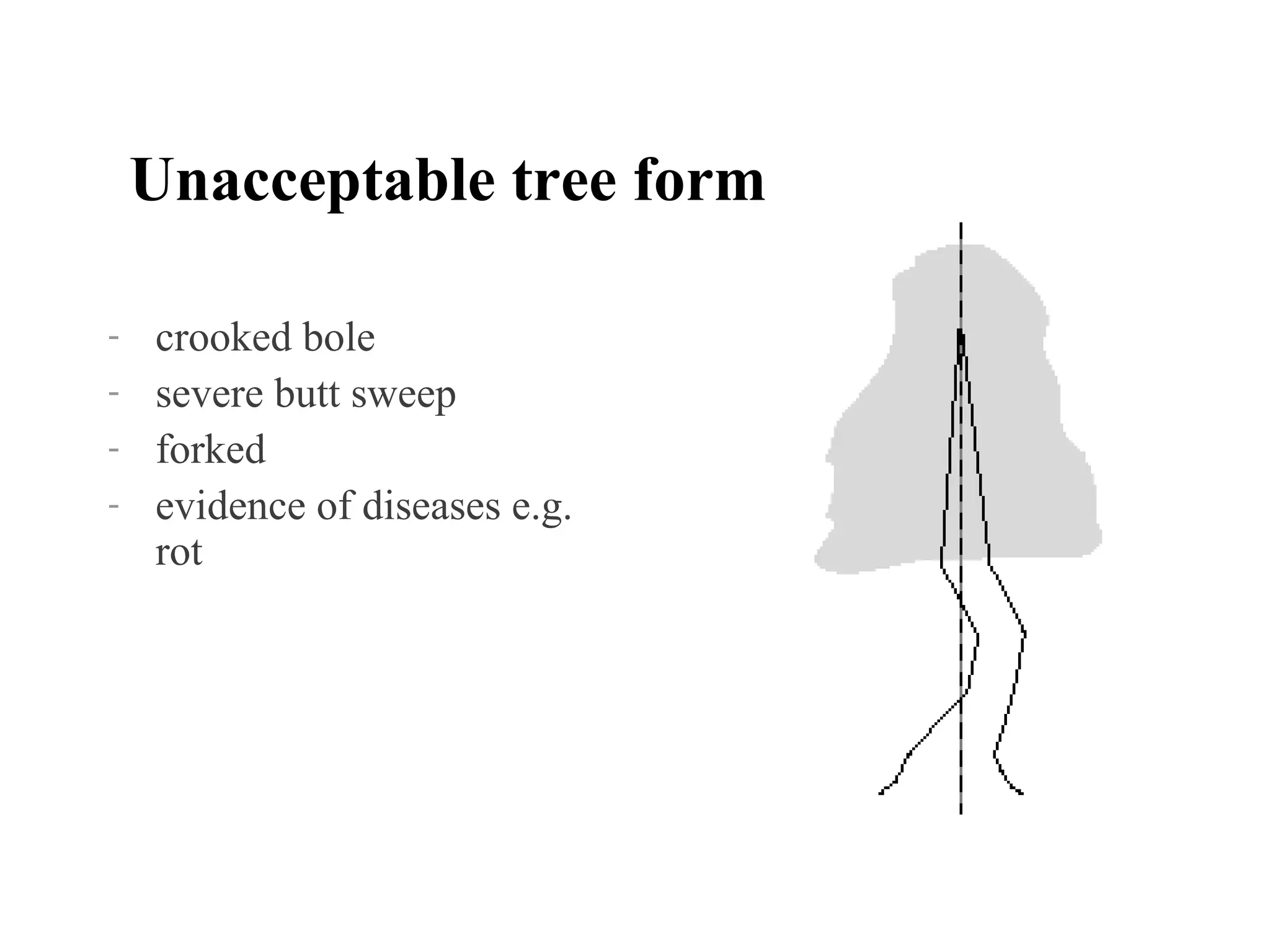 Tree forms | PPT