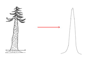 Tree forms | PPT