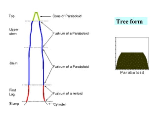 Tree forms | PPT