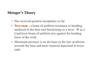 Tree forms | PPT