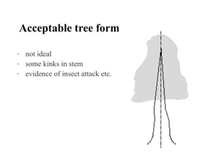 Tree forms | PPT