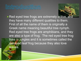Tree frogs | PPT